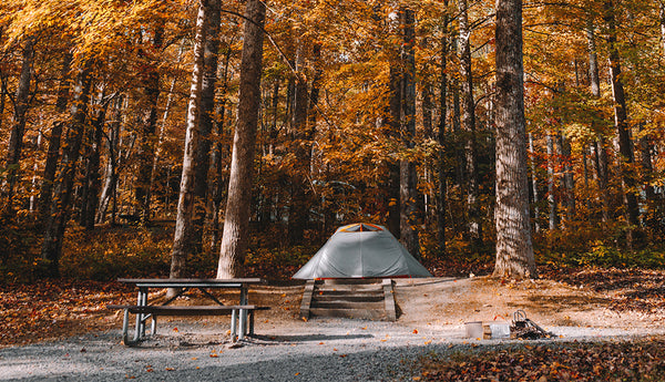 5 Tips for Choosing the Perfect Campsite - Go Time Gear